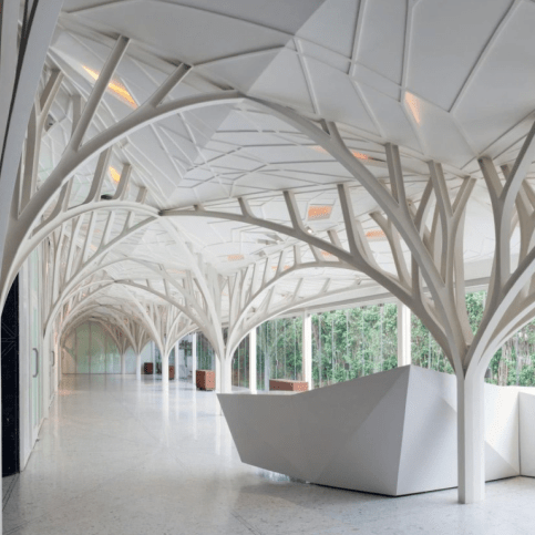 Architectural Tree Structure Works in UAE | Al Afnan | Blog